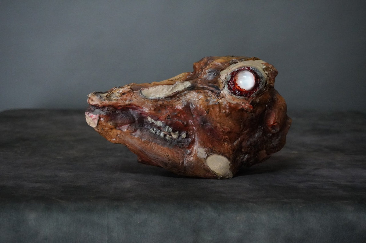 Roasted Goat Head Prop – Dapper Cadaver Props
