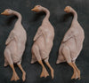 Plucked Goose Prop – Dapper Cadaver Props
