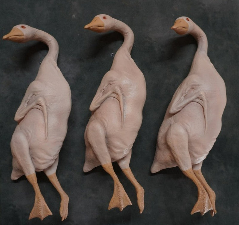 Plucked Goose Prop – Dapper Cadaver Props