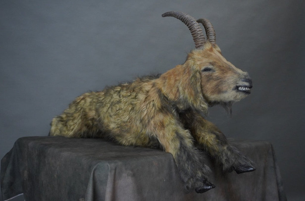 Sylvia the Goat Cadaver with Fur Prop – Dapper Cadaver Props