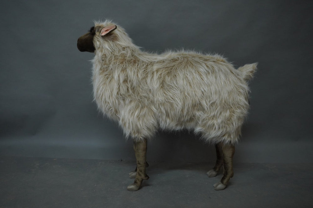 Life Size Plush Sheep Prop – Dapper Cadaver Props