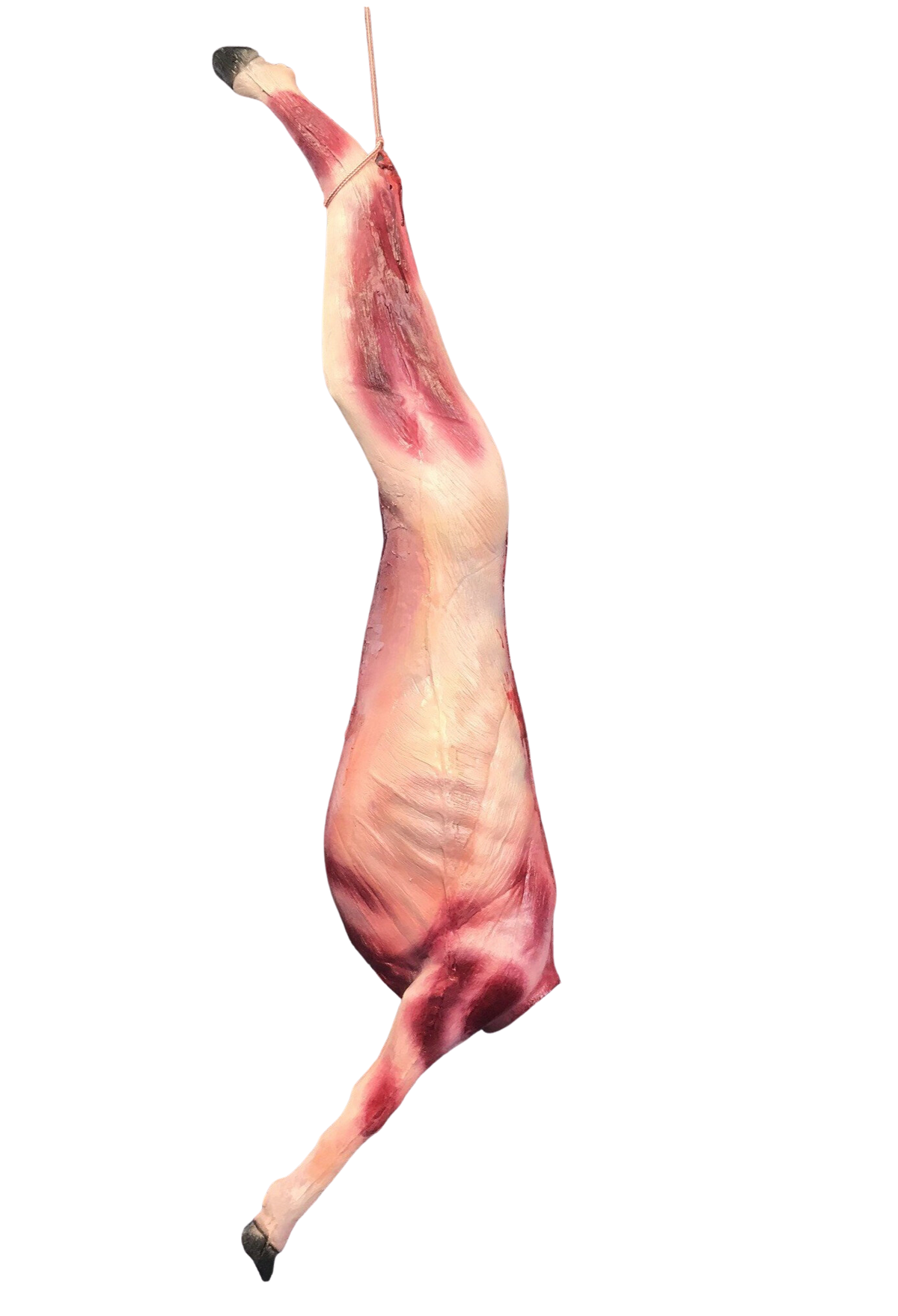 Skinned Goat Half Prop – Dapper Cadaver Props