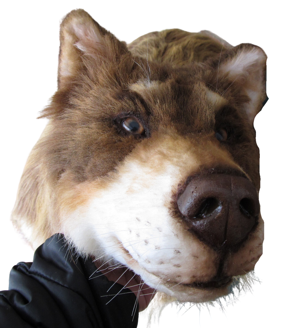 Sled Dog Prop – Dapper Cadaver Props