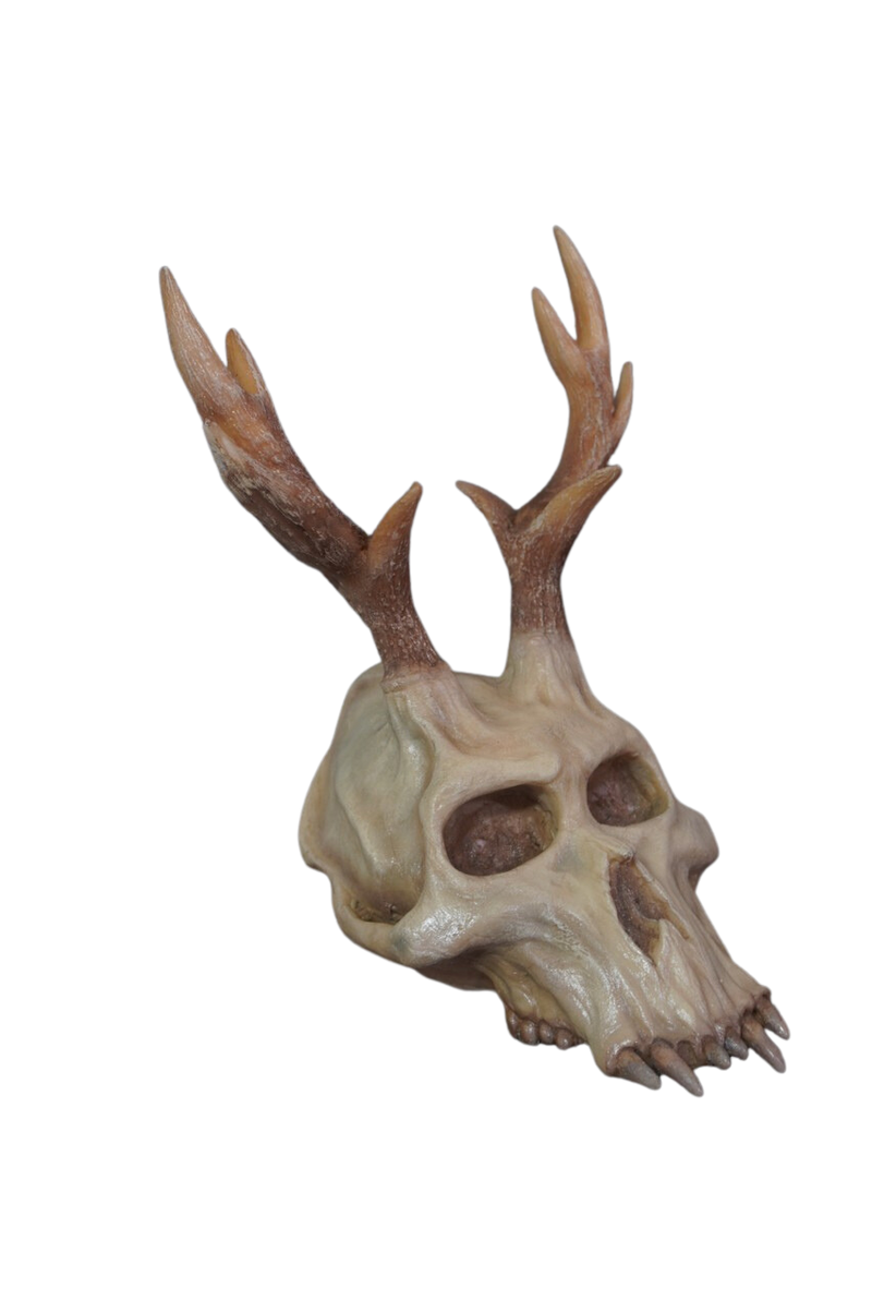 Wendigo Skull Prop – Dapper Cadaver Props