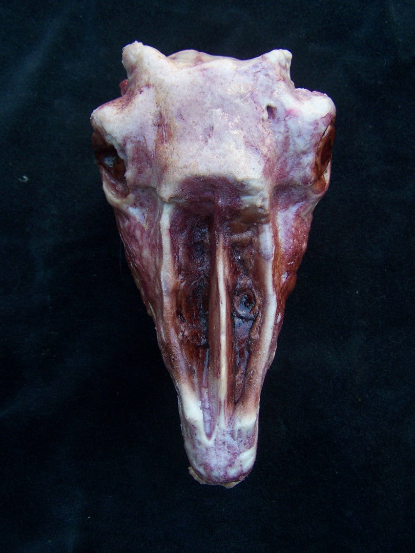 Skinned Goat Head Prop – Dapper Cadaver Props
