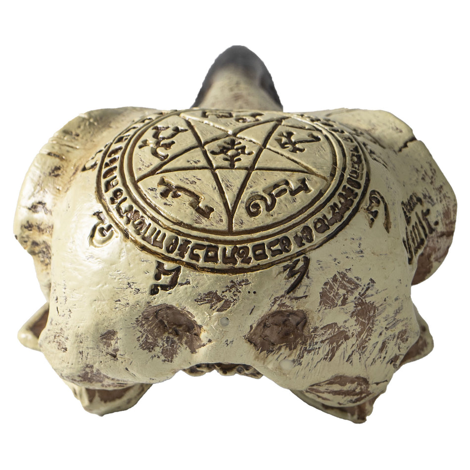 Alchemy Raven Skull – Dapper Cadaver Props