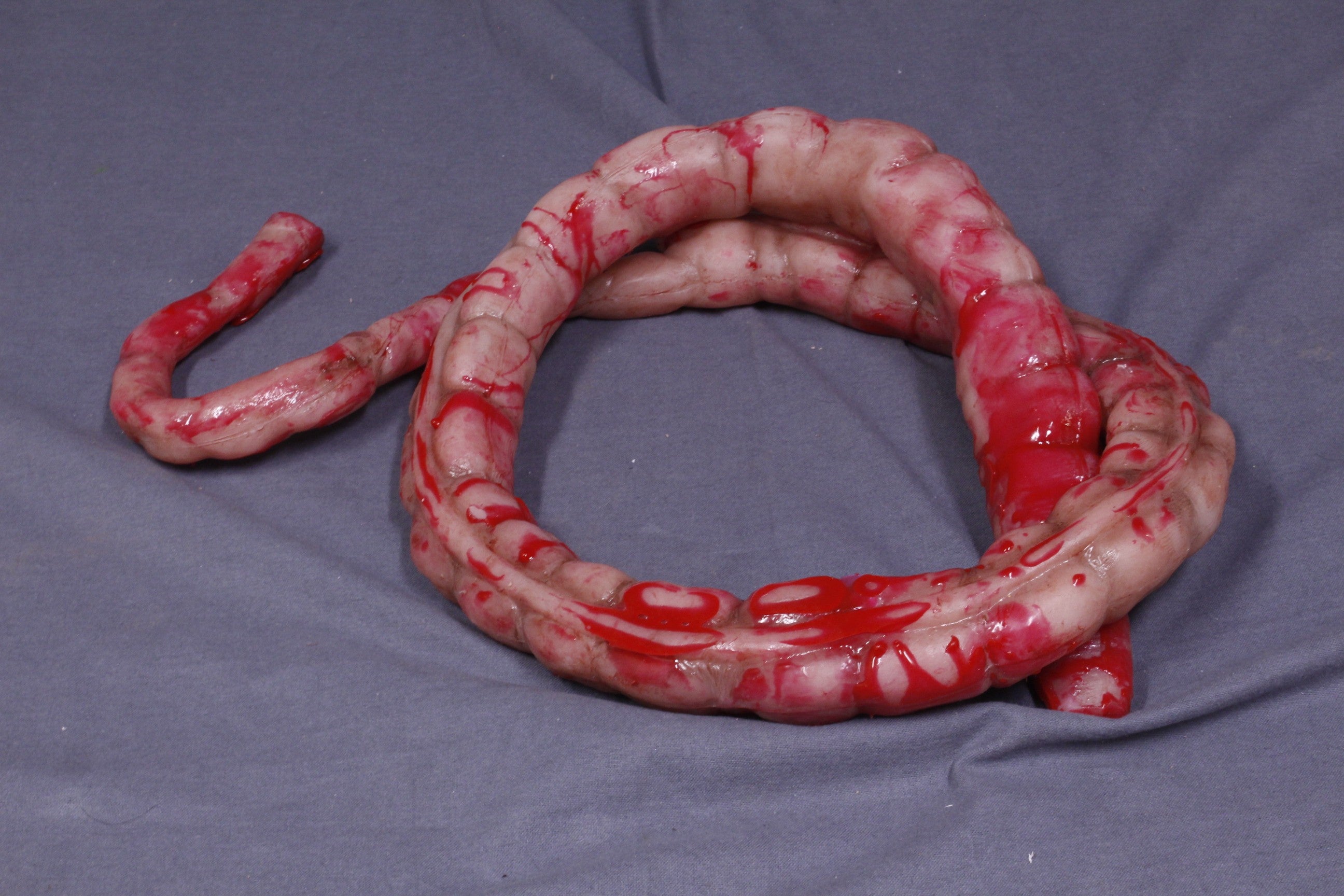 intestine artificial