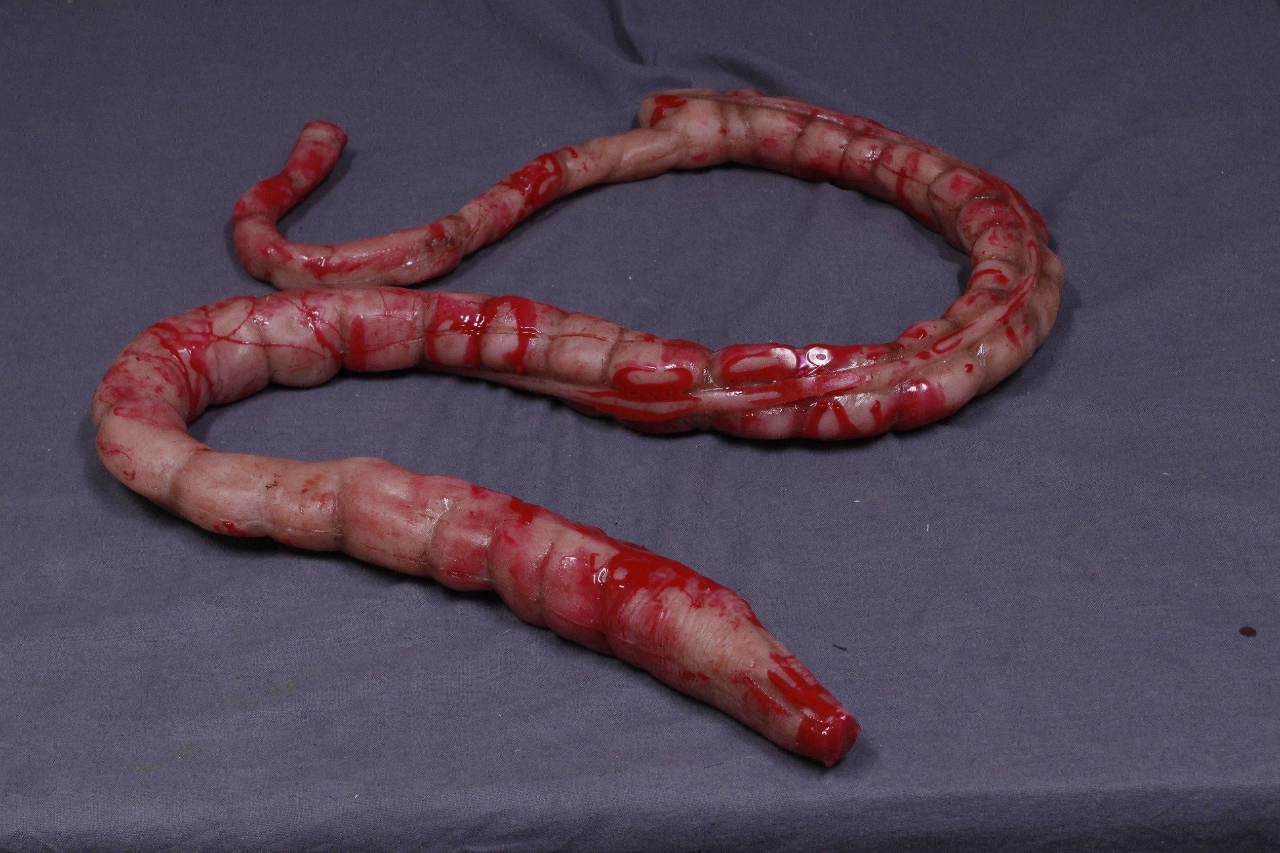 Silicone Large Intestine Prop – Dapper Cadaver Props