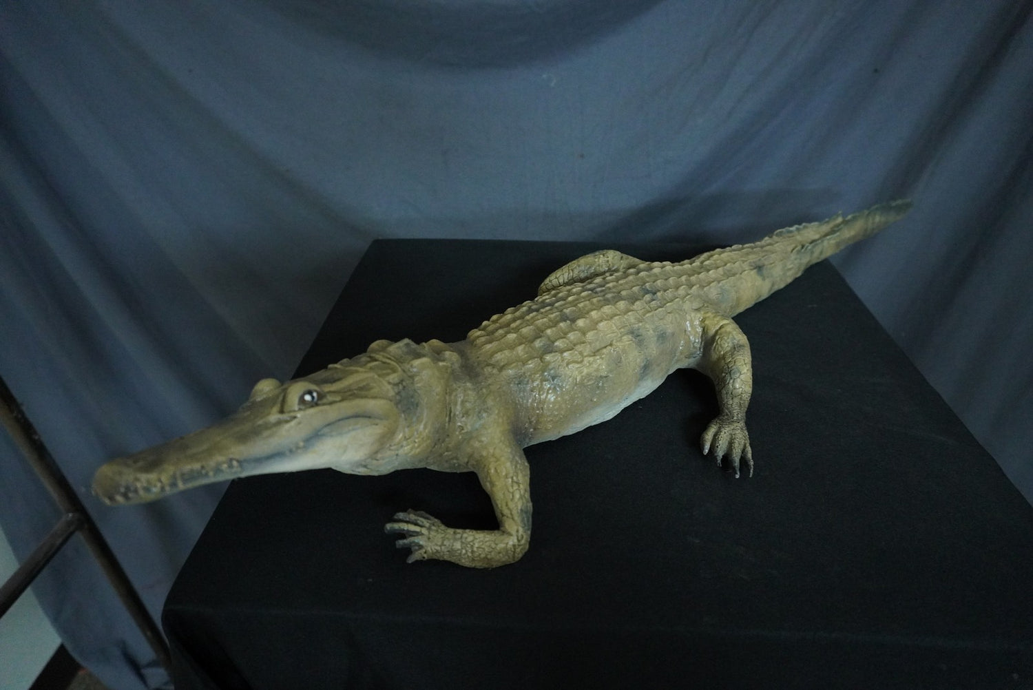 Alligator Prop – Dapper Cadaver Props