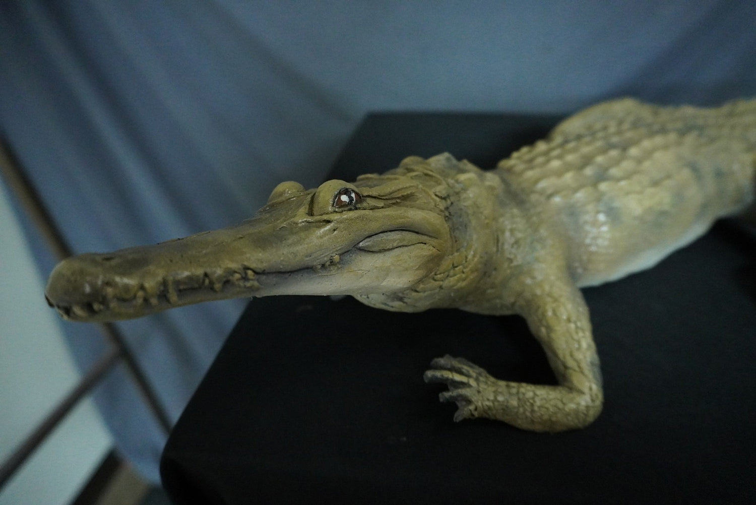 Alligator Prop – Dapper Cadaver Props