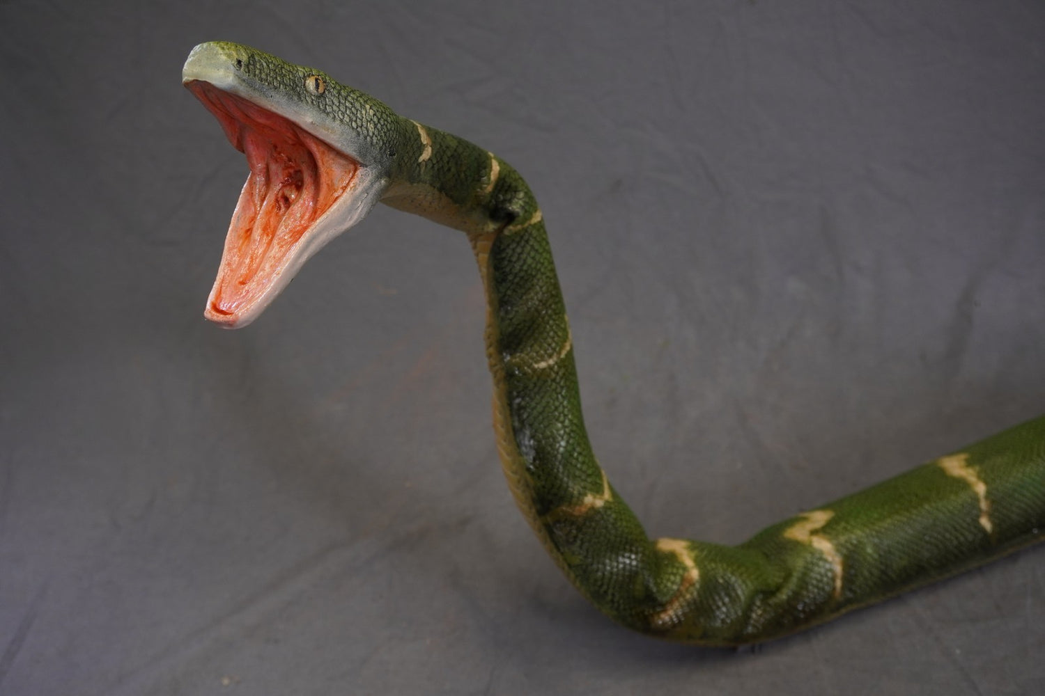 7ft Poseable Boa Snake Prop – Dapper Cadaver Props