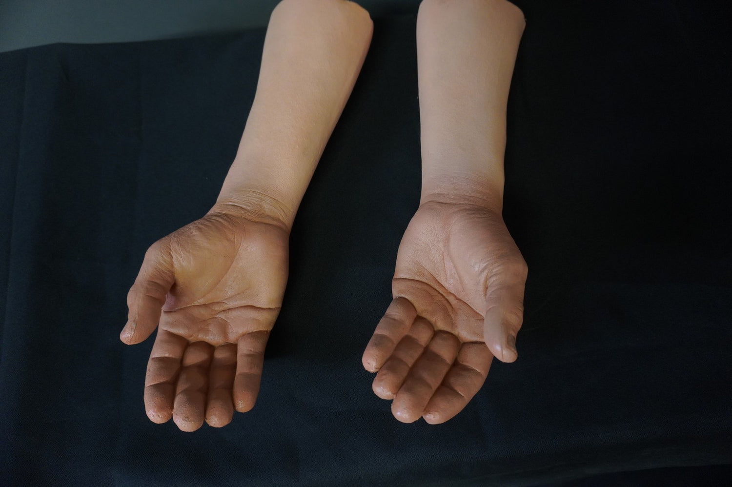 Tom Hands Prop – Dapper Cadaver Props