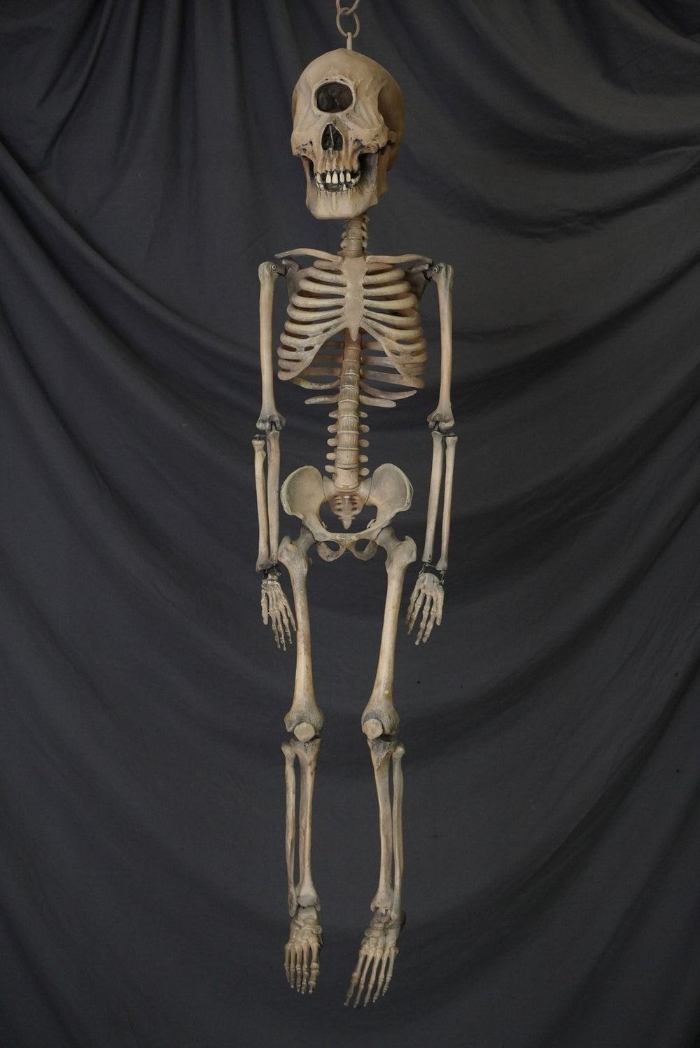 3 Ft. Feejee Mermaid Prop – Dapper Cadaver Props