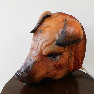 Roast Pig Head Prop – Dapper Cadaver Props