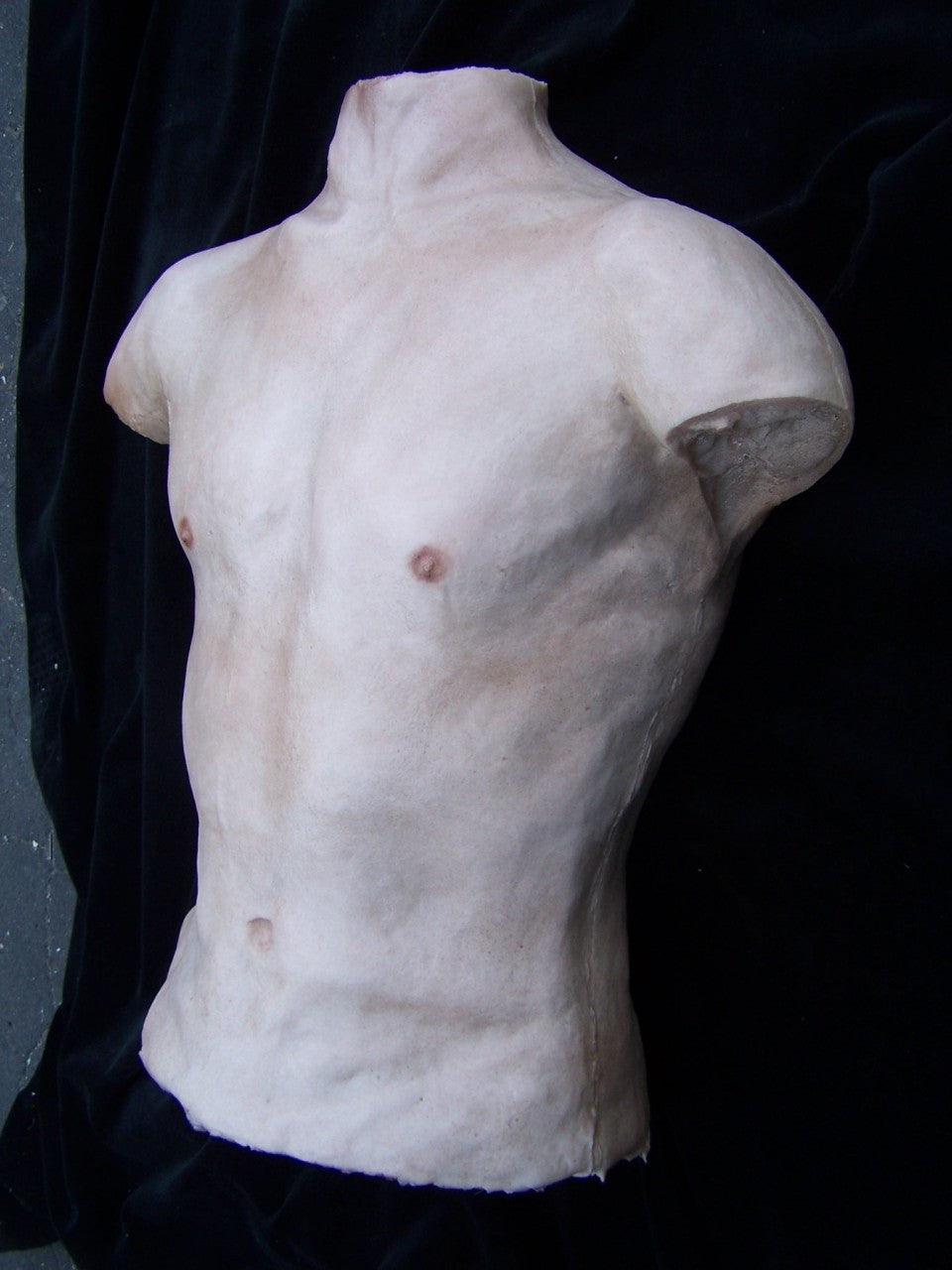 Jones Male Torso Prop – Dapper Cadaver Props