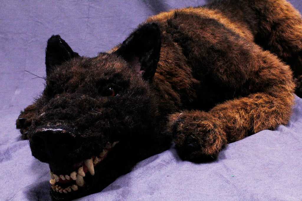 Belgian Rigged Dog Prop – Dapper Cadaver Props