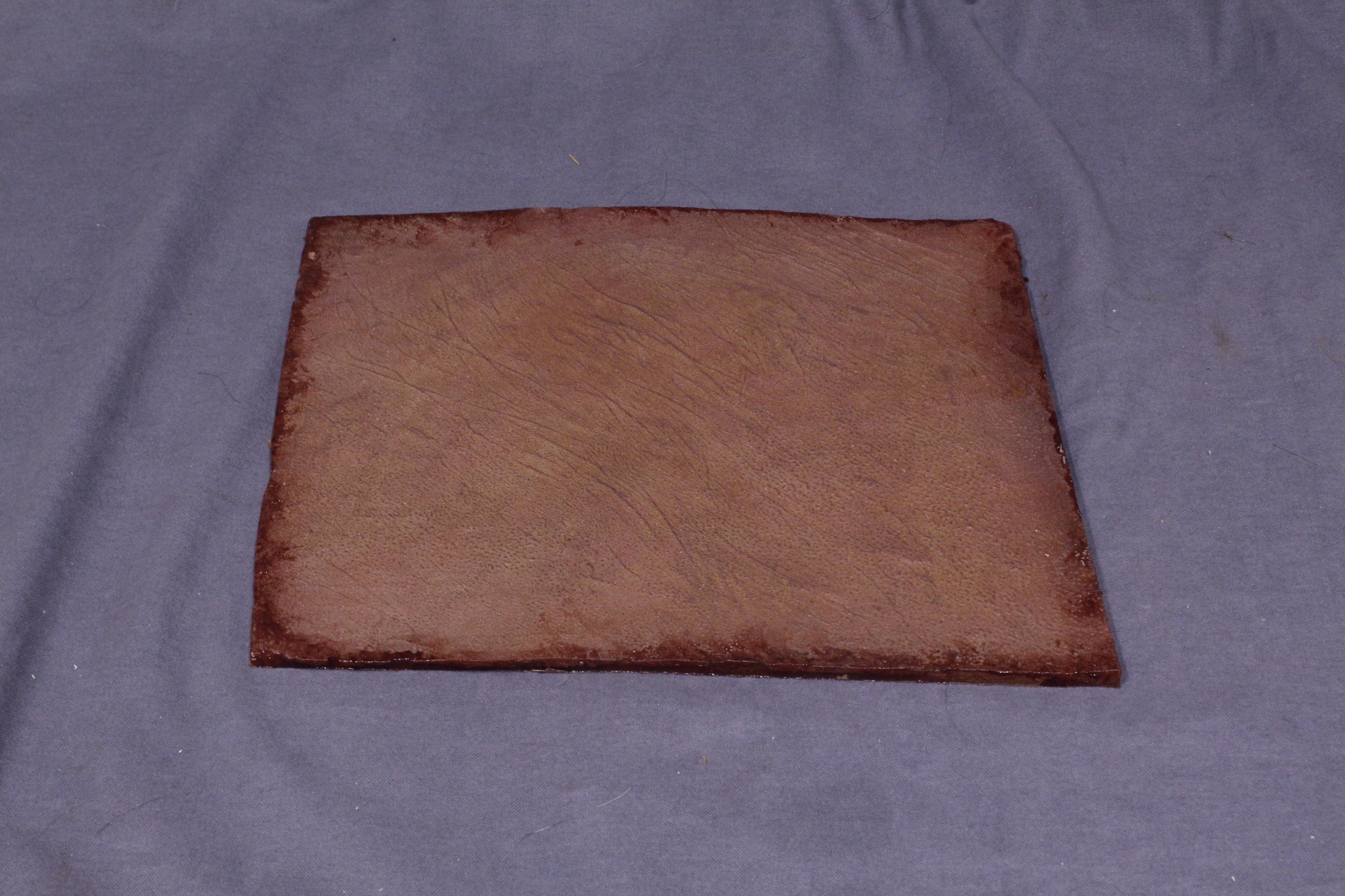 Flexible Human Skin Prop 12 inch Square – Dapper Cadaver Props