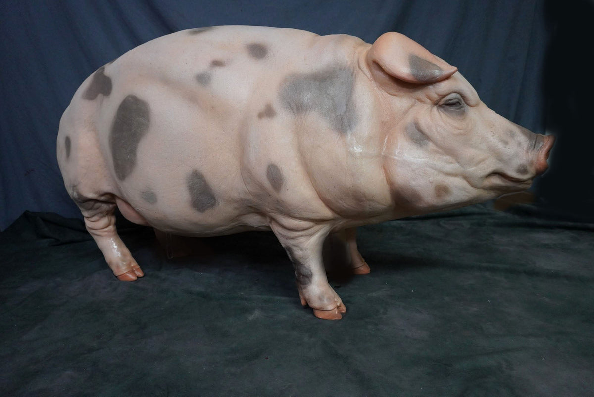 Standing Fat Pig Prop – Dapper Cadaver Props