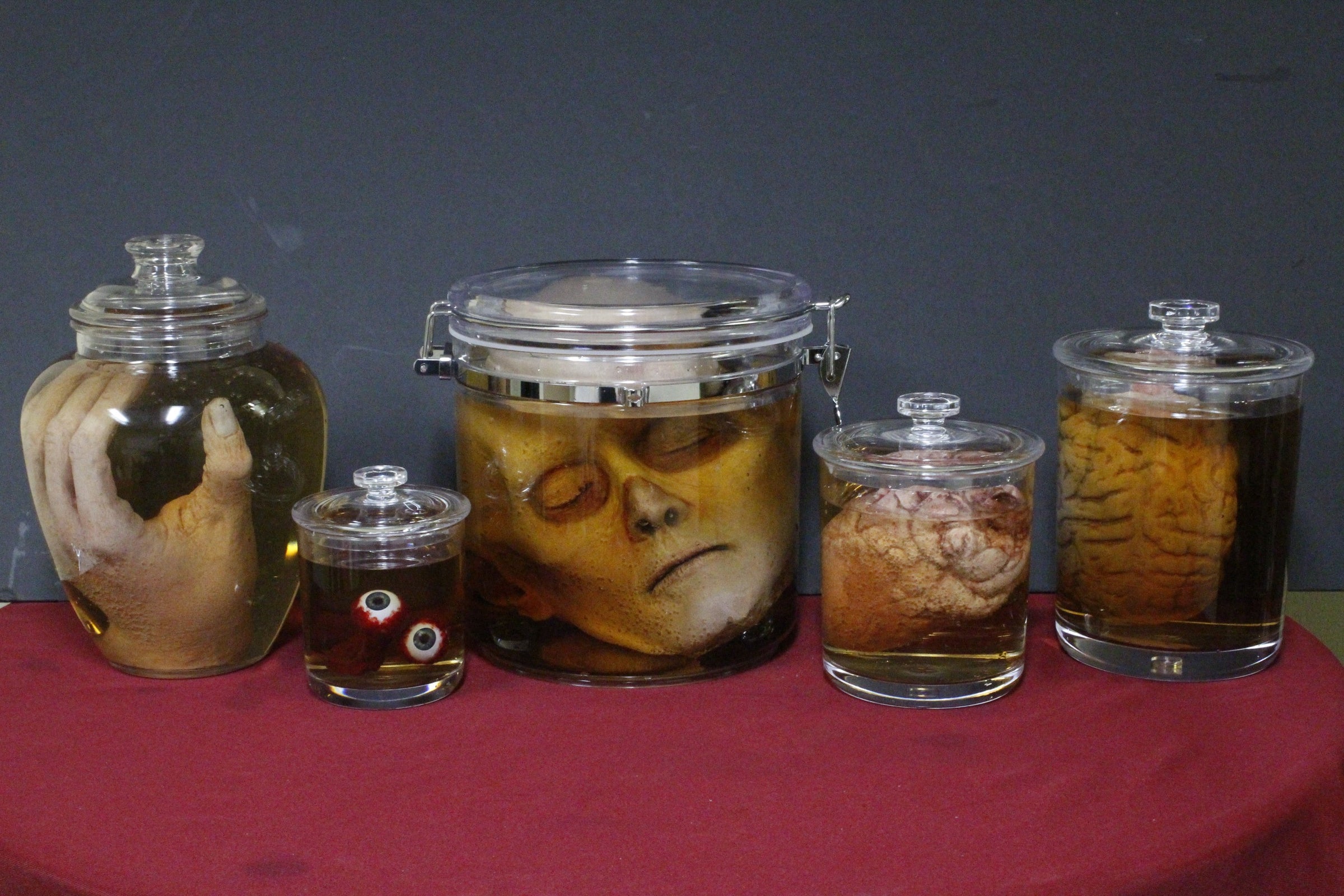 Body Parts Shatterproof Specimen Jar Combo – Dapper Cadaver Props