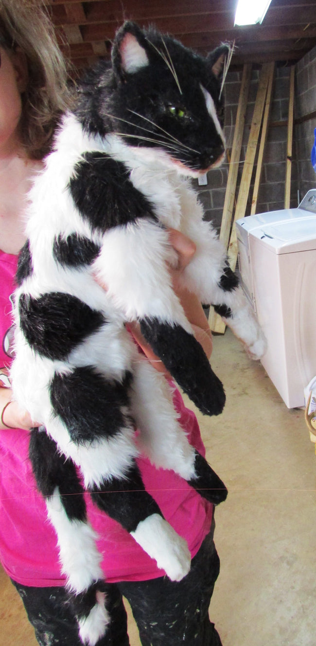 Cow Cat Prop - Special Order – Dapper Cadaver Props