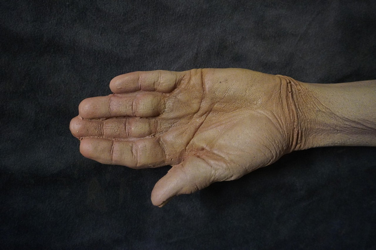 Edith Arm - Female Prop – Dapper Cadaver Props