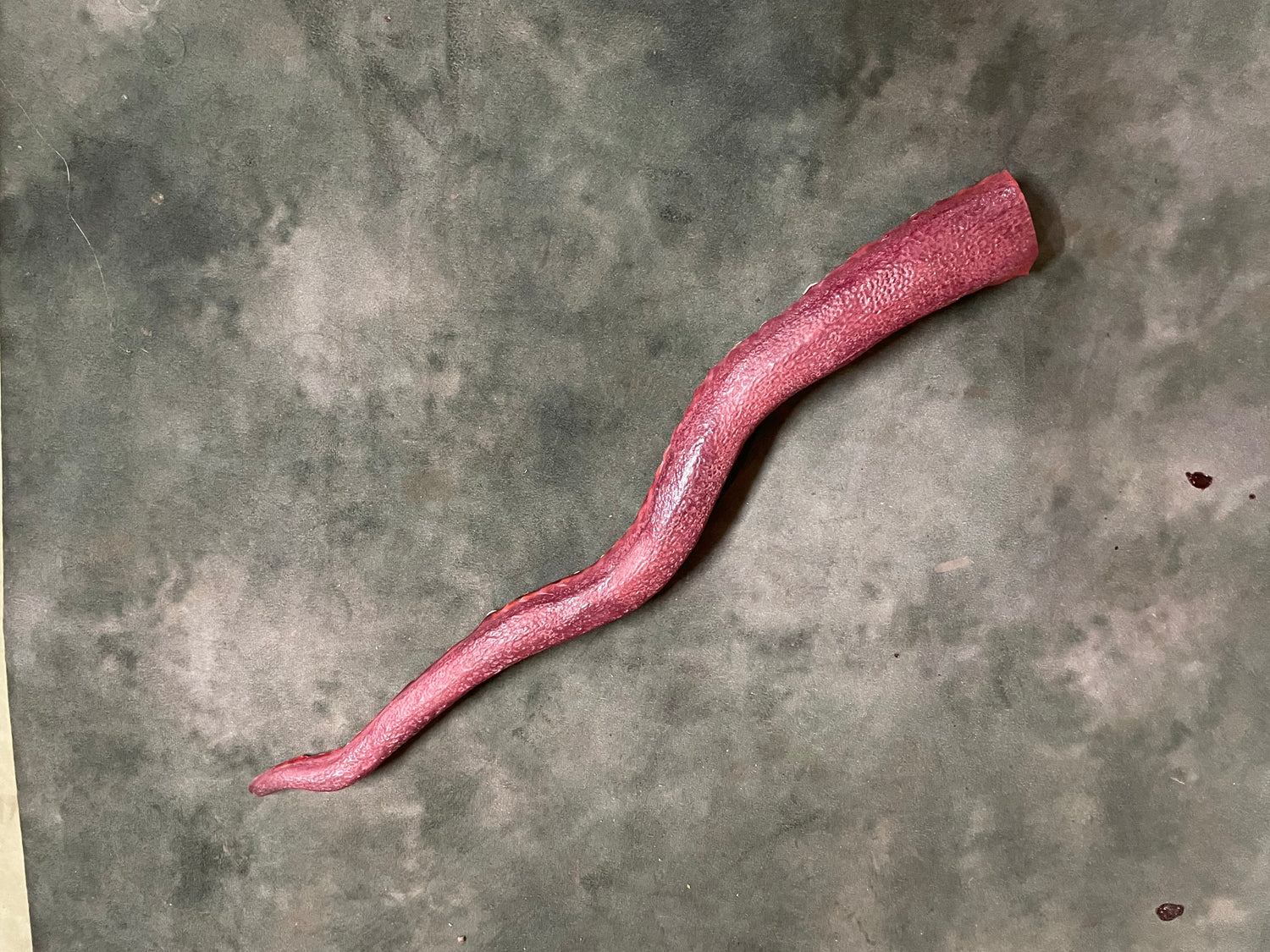 Flex Octopus Tentacle – Dapper Cadaver Props
