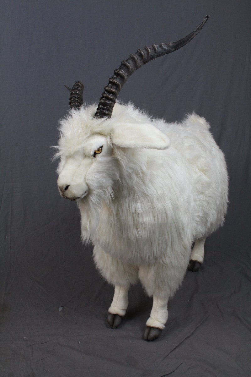 Long Horn Goat Prop – Dapper Cadaver Props
