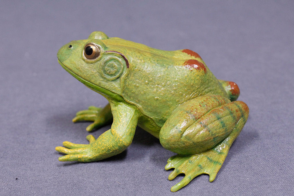 Realistic Rubber Frog Prop – Dapper Cadaver Props