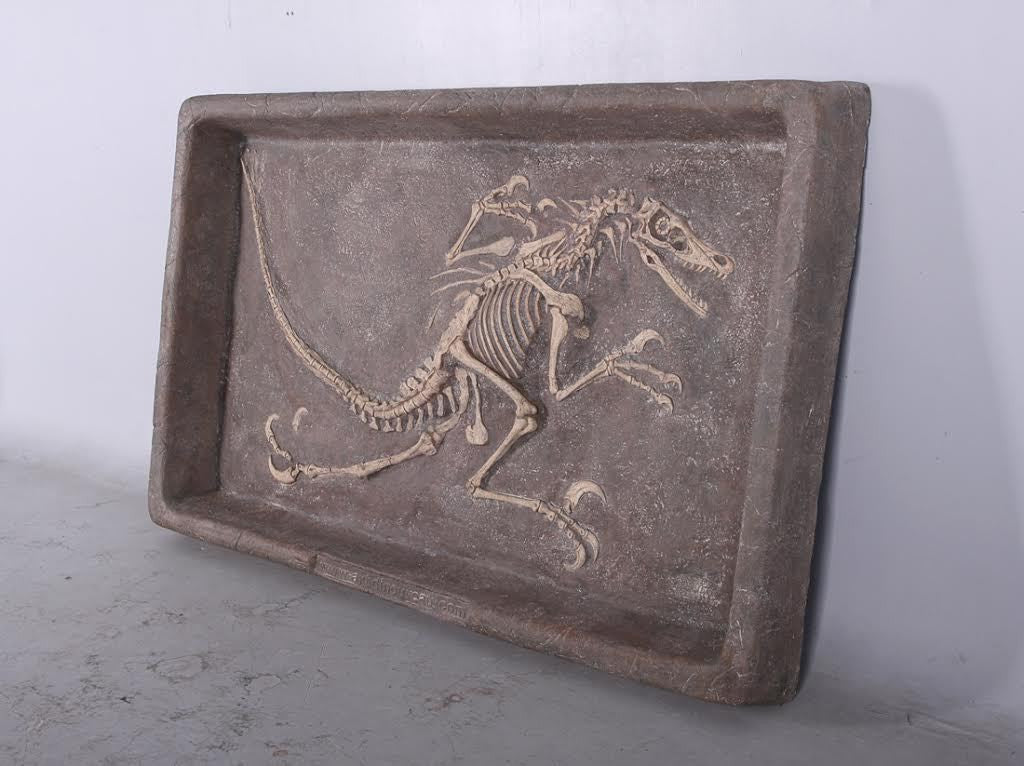 Raptor Skeleton Dig Box Rental – Dapper Cadaver Props