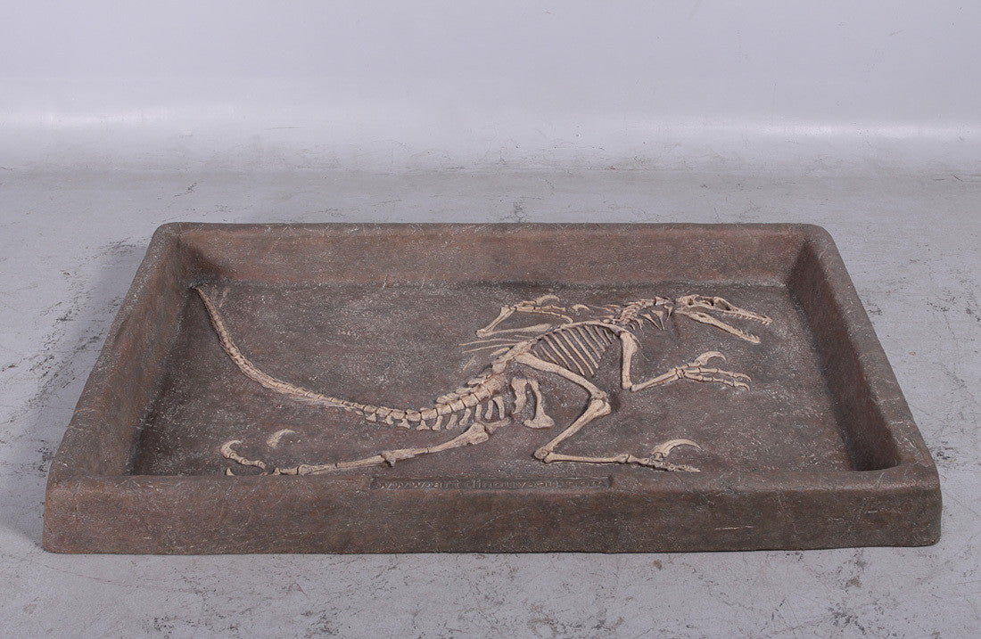 Raptor Skeleton Dig Box Rental – Dapper Cadaver Props