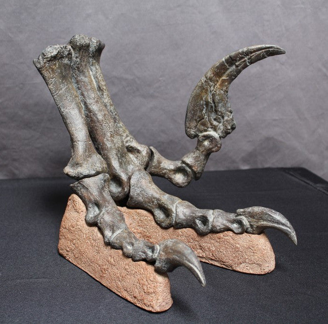 Large Raptor Foot with Base Prop Rental – Dapper Cadaver Props
