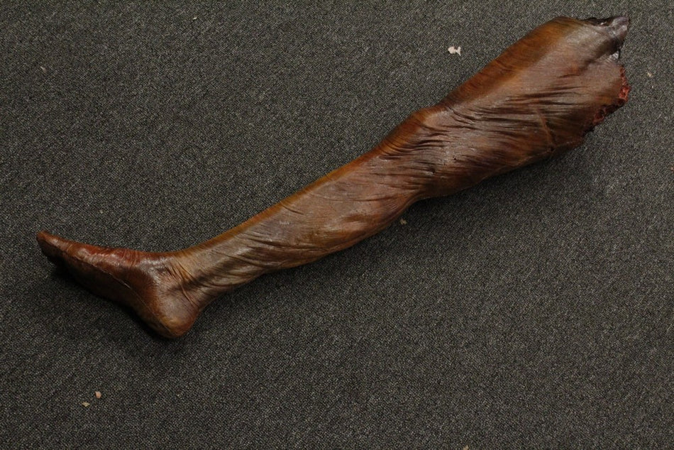 Roasted Leg Prop – Dapper Cadaver Props