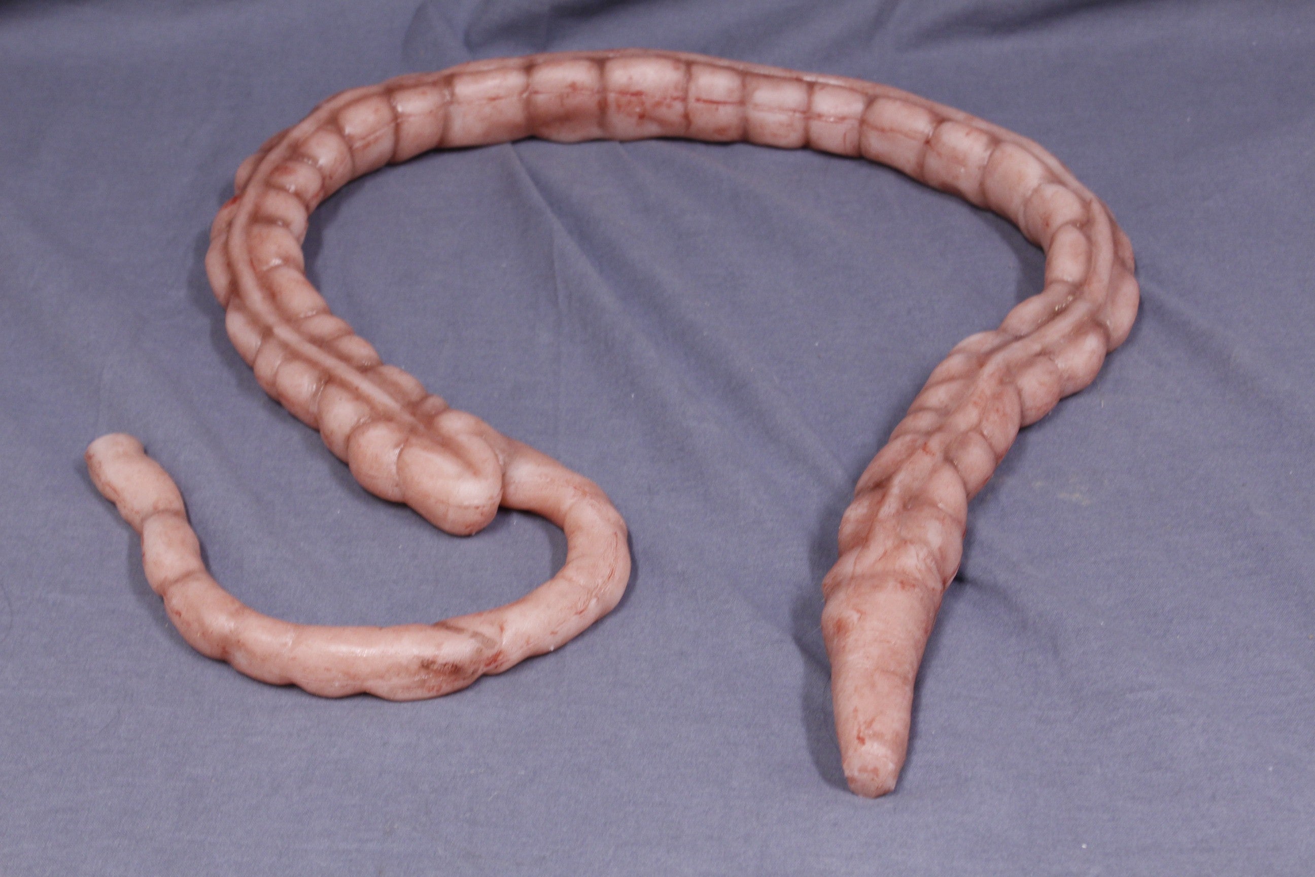 Silicone Large Intestine Prop – Dapper Cadaver Props