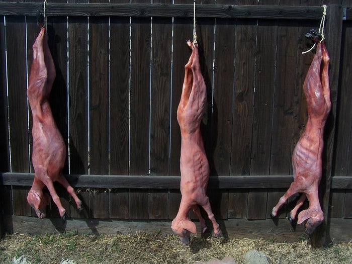 Skinned Goats, Set of 3 – Dapper Cadaver Props