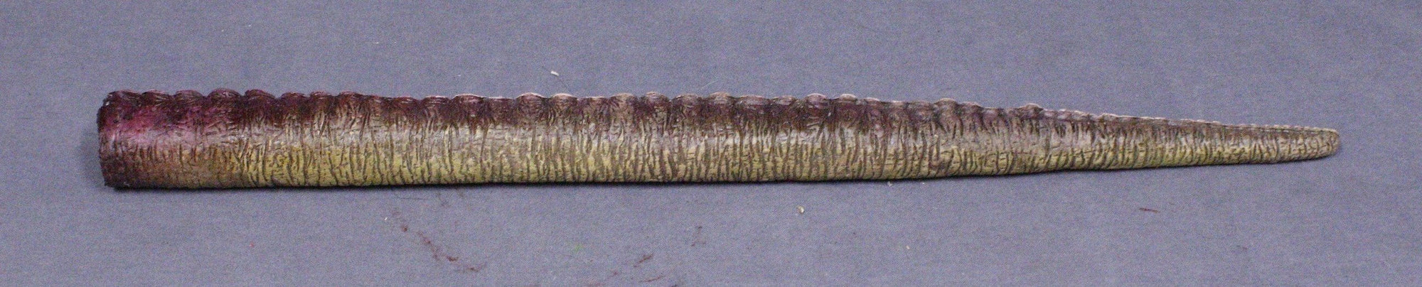 Tentacle Prop – Dapper Cadaver Props