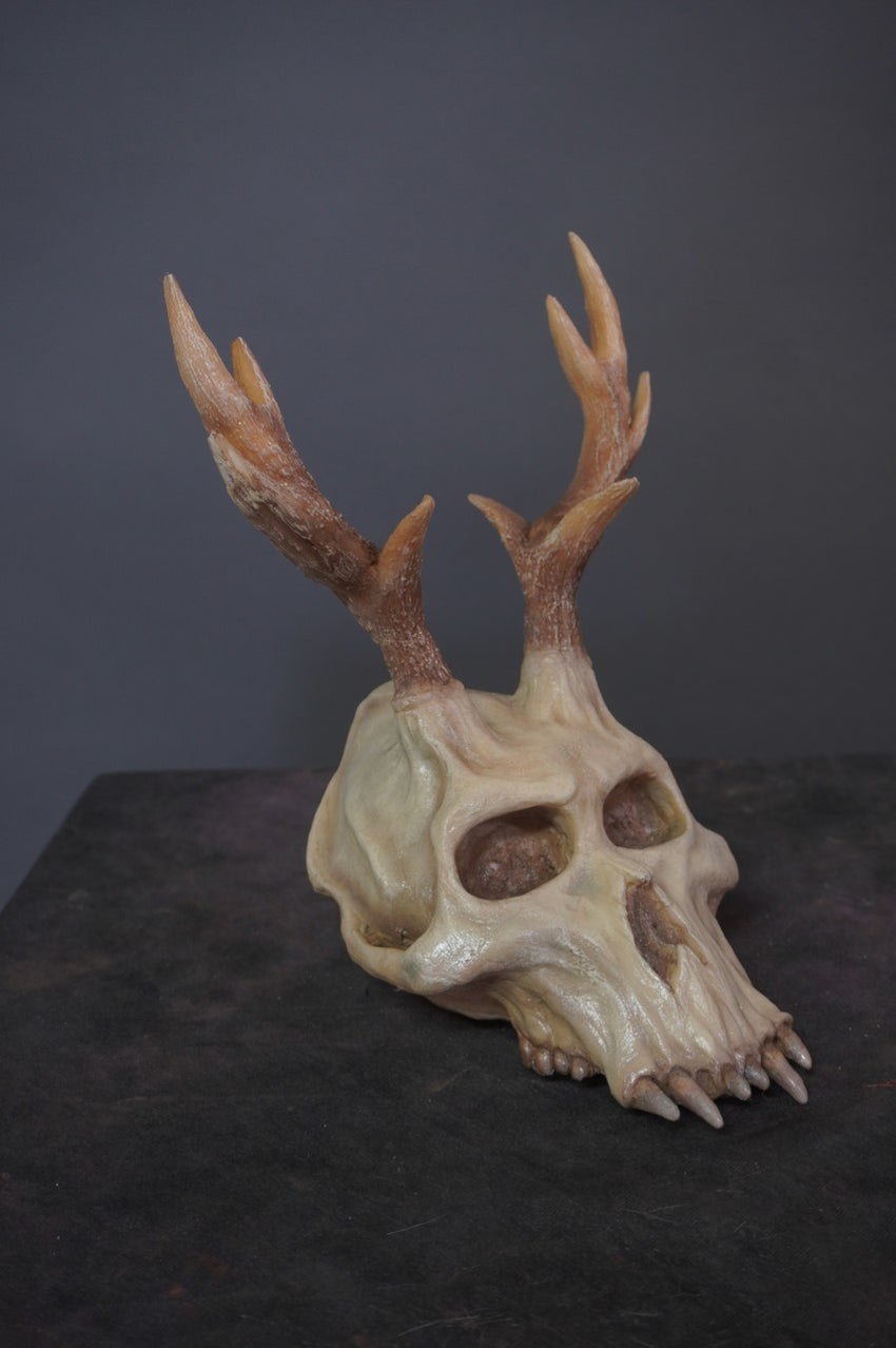 Wendigo Skull Prop – Dapper Cadaver Props
