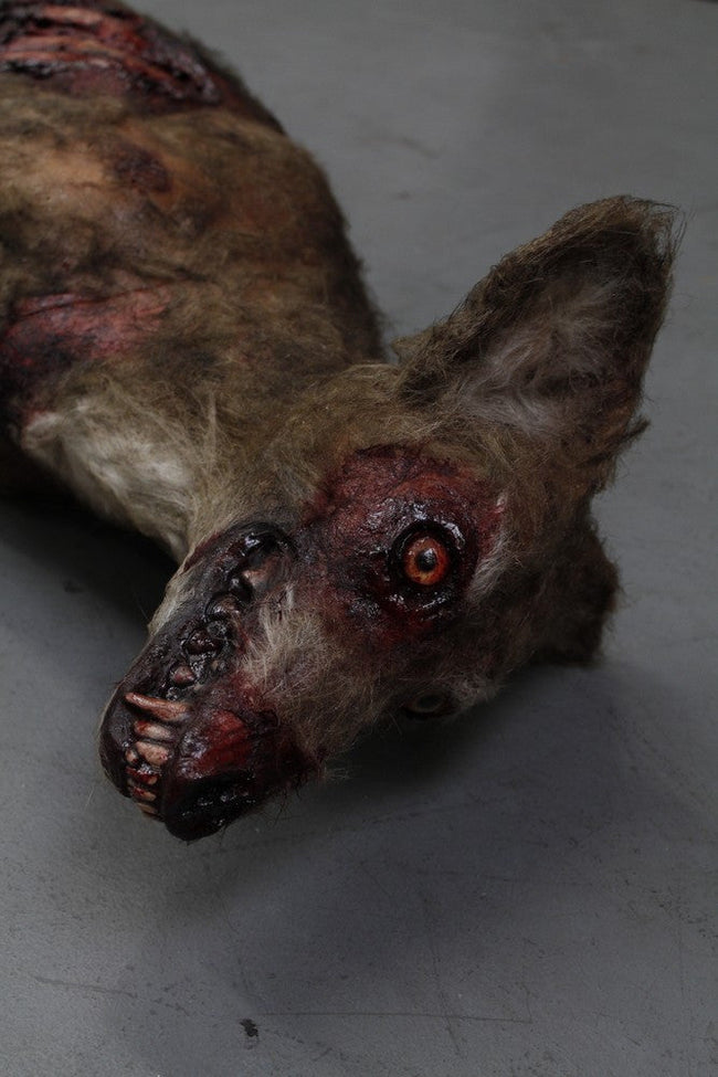 Wounded Brown Dog Prop – Dapper Cadaver Props